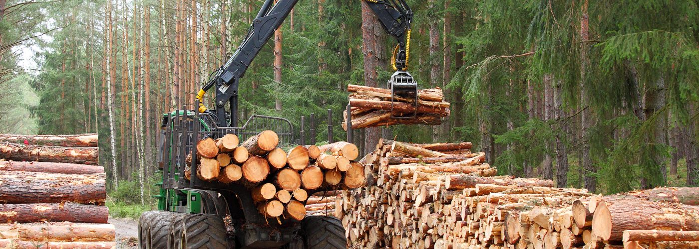 Forst- & Wegebau Business - ARS GmbH